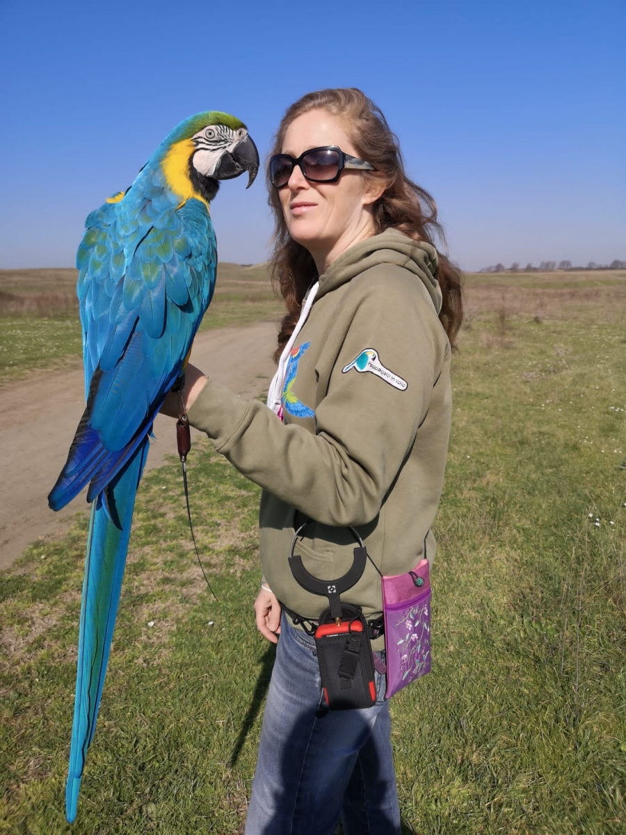 Pointer Track/Sahara Parrot GPS | Ayama Segutel